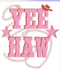 YEE HAW! Christian Cowboys from America’s heartland fly to Israel to ...